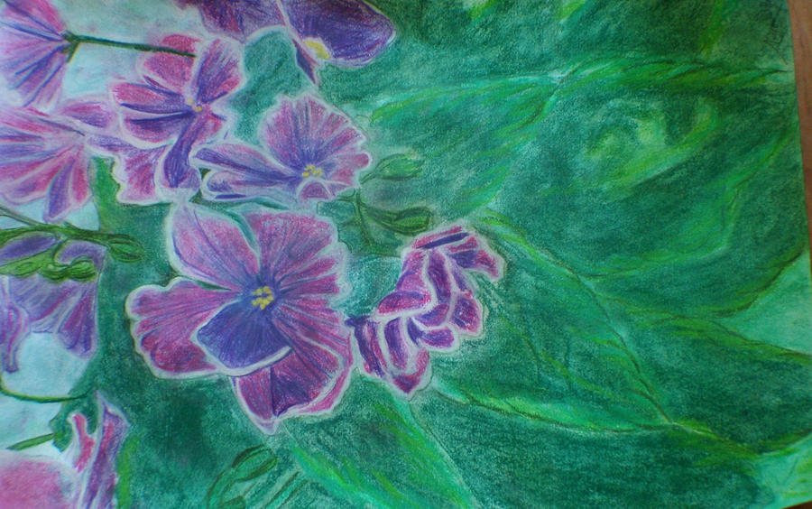 Purple Passion By Slowanimation On Deviantart