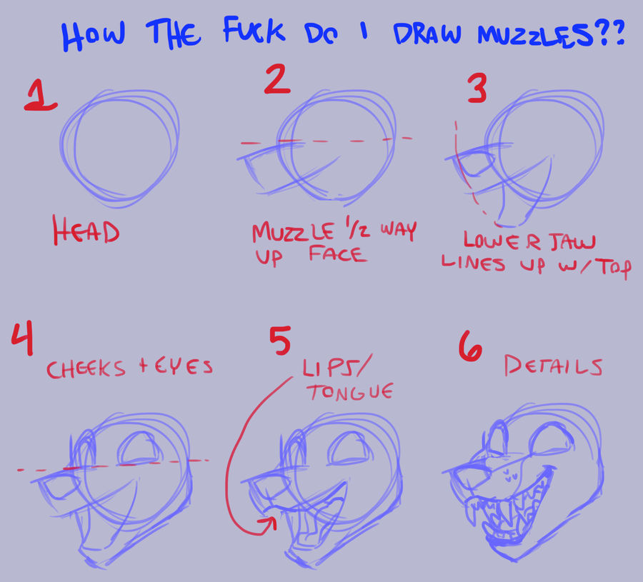 Muzzle Tutorial P2 By Warrioratheart On Deviantart