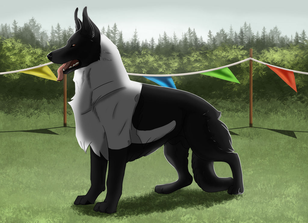 UKC 2 1 Conformation Adgard By LegendTheDrawingCat On DeviantArt ukc-2-1-conformation-adgard-by-legendthedrawingcat-on-deviantart