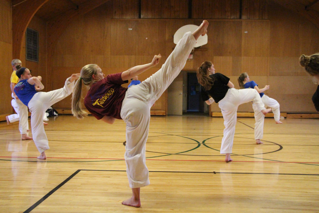 Taekwondo High Sidekick By Phacops On Deviantart