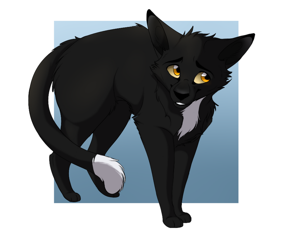 Warriors: Ravenpaw by Nightryx on DeviantArt Warriors: Ravenpaw by Nightryx on DeviantArt