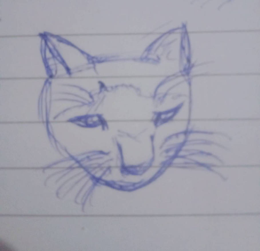 Cat rough sketch by agentdarkdeviant on DeviantArt Cat rough sketch by agentdarkdeviant on DeviantArt
