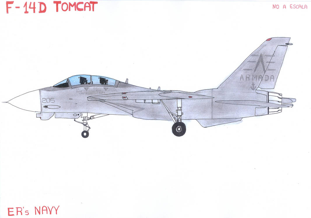 F-14 Tomcat again by DingoPatagonico on DeviantArt
