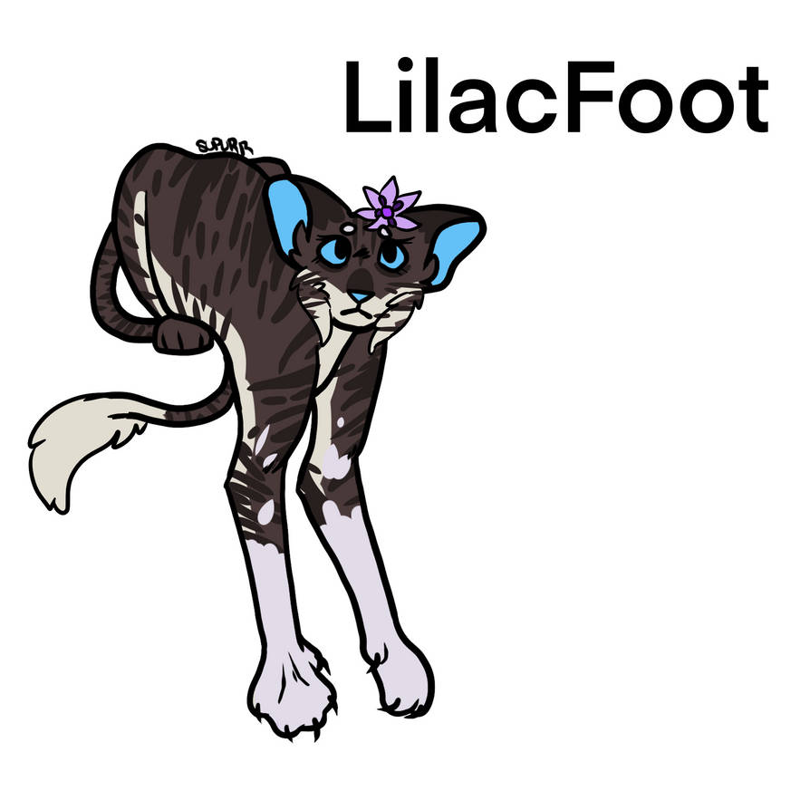 Lilacfoot Ref By Cheeseandcrackerss On Deviantart