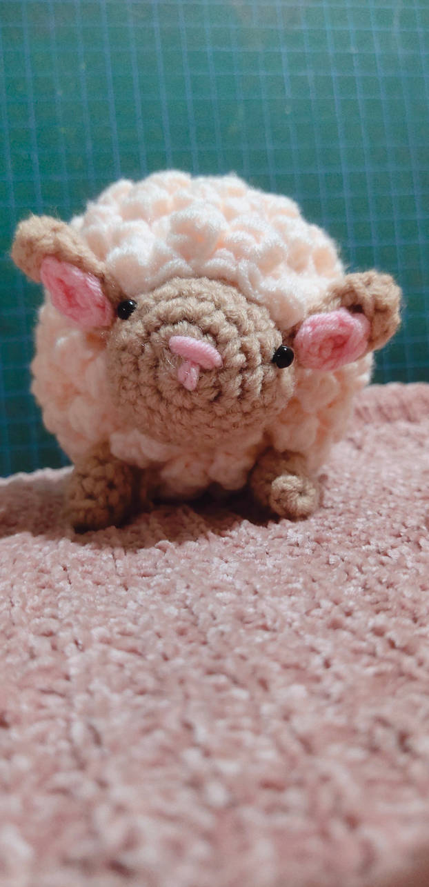Lil Sheep By Fufufarts On Deviantart