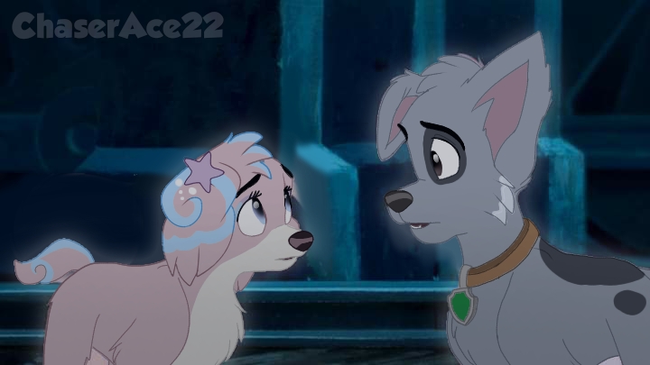 Rocky X Coral Lady And The Tramp Paw Patrol By Chaserace22 On Deviantart