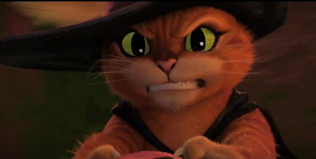 Puss In Boots Angry By Werecatsetteprincess On Deviantart