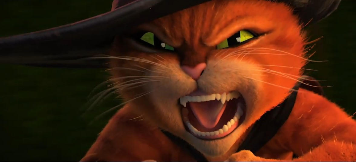 Puss In Boots Angry By Werecatsetteprincess On Deviantart