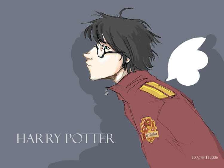 Harry Potter By Usagistu On Deviantart