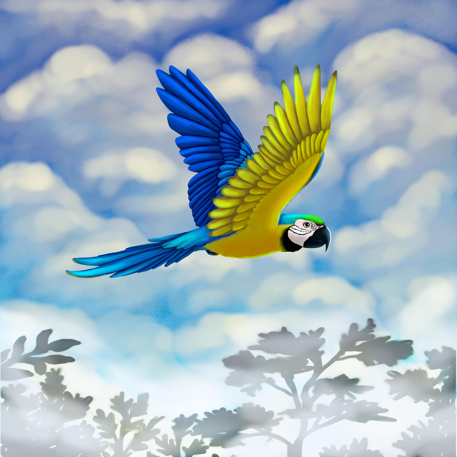 Blue And Yellow Macaw By Jemichi On Deviantart