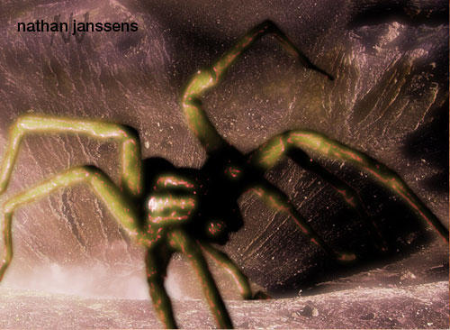 Vulcano Spider by Sunkra on DeviantArt
