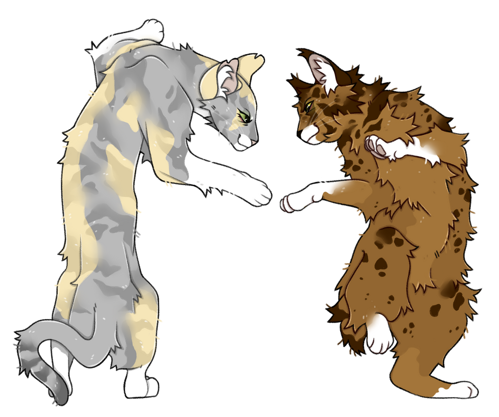 Kung Fu Fighting By Vibrates On Deviantart