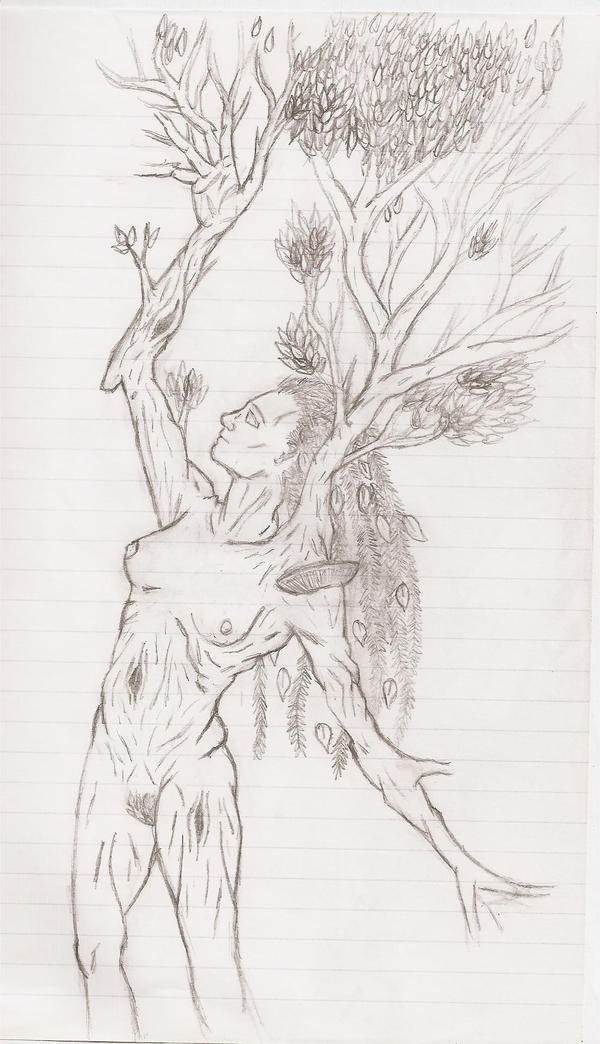 Tree Girl Wip By The Happy Clown On Deviantart