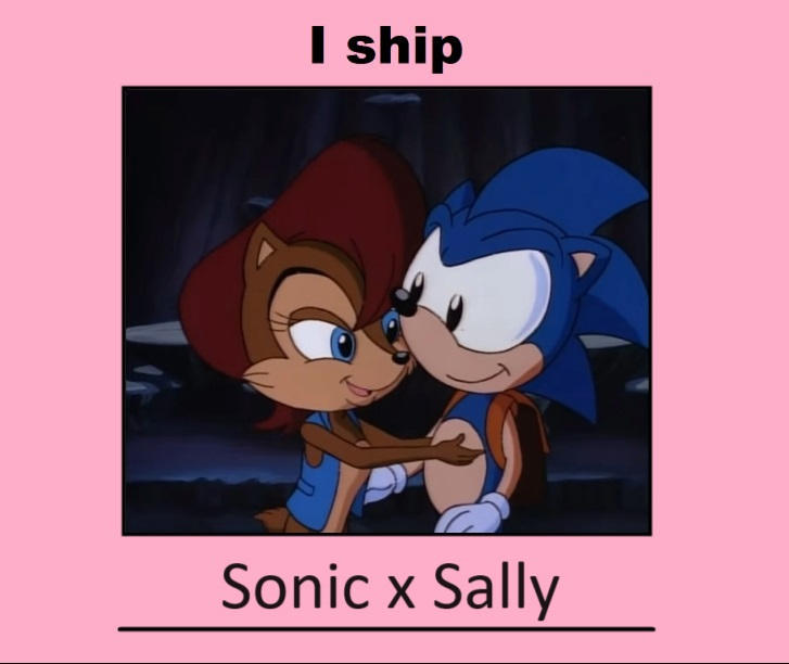 I Ship Sonic X Sally By Callmeblackbeauty On Deviantart