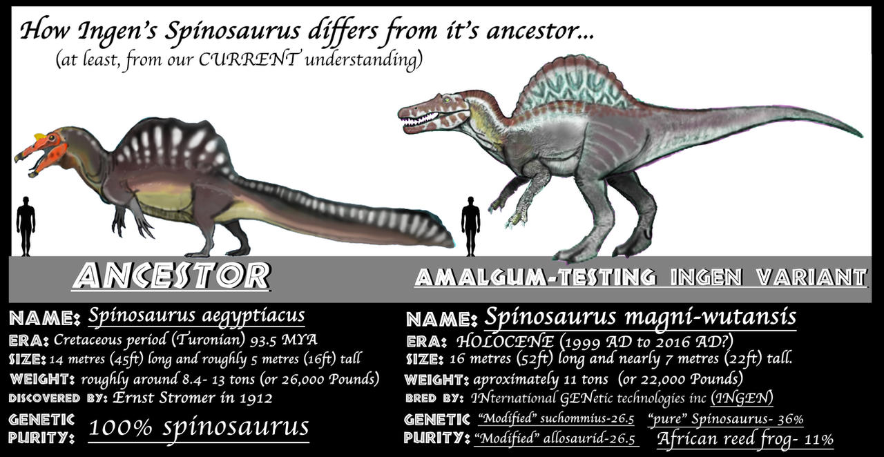 ASSETS MEET ANCESTORS- SPINOSAURUS (updated) by Taliesaurus on DeviantArt ASSETS MEET ANCESTORS- SPINOSAURUS (updated) by Taliesaurus on DeviantArt