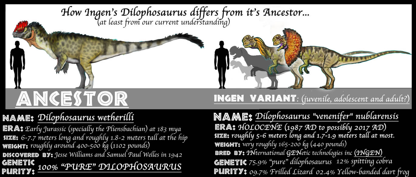 ASSETS MEET ANCESTORS- DILOPHOSAURUS (updated) by Taliesaurus on DeviantArt ASSETS MEET ANCESTORS- DILOPHOSAURUS (updated) by Taliesaurus on DeviantArt
