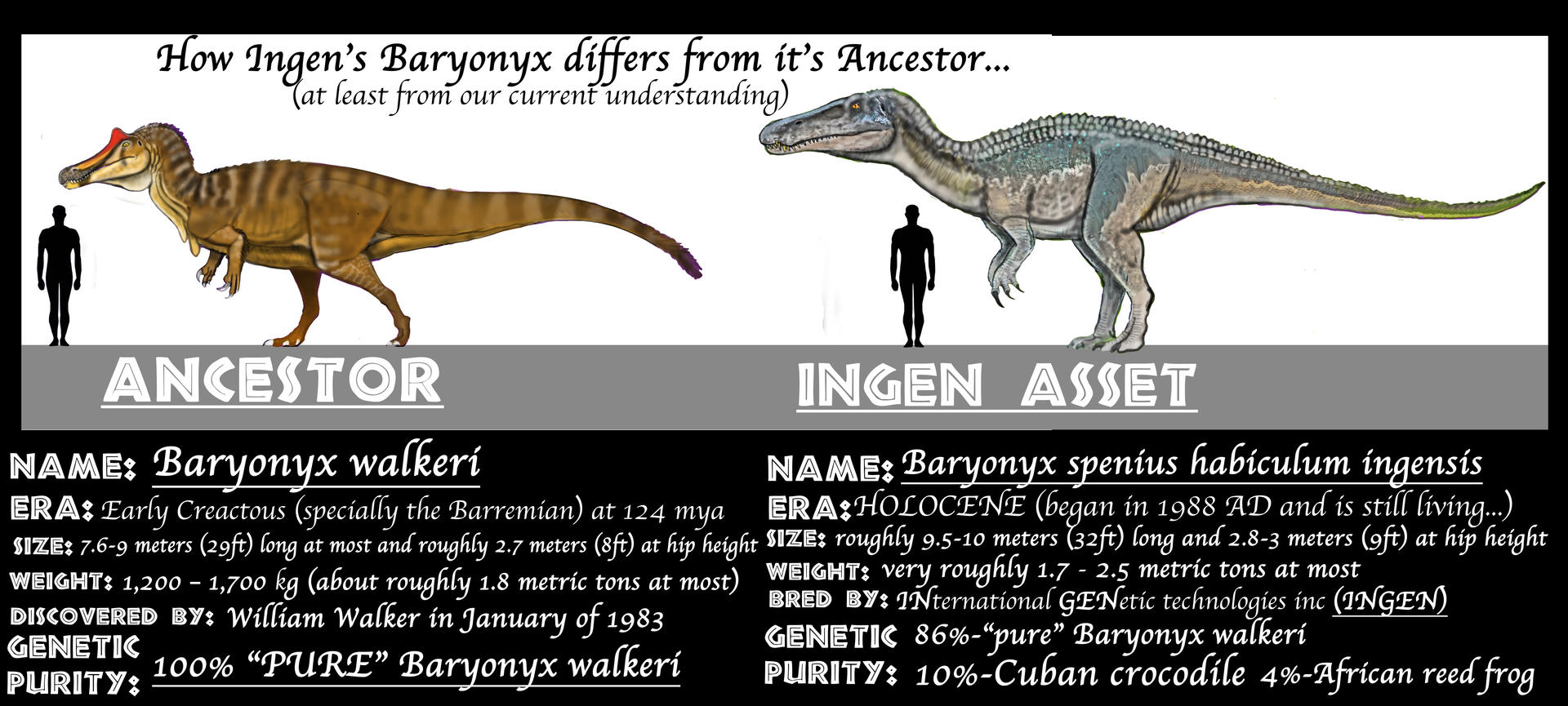 ASSETS MEET ANCESTORS- BARYONYX (updated) by Taliesaurus on DeviantArt ASSETS MEET ANCESTORS- BARYONYX (updated) by Taliesaurus on DeviantArt