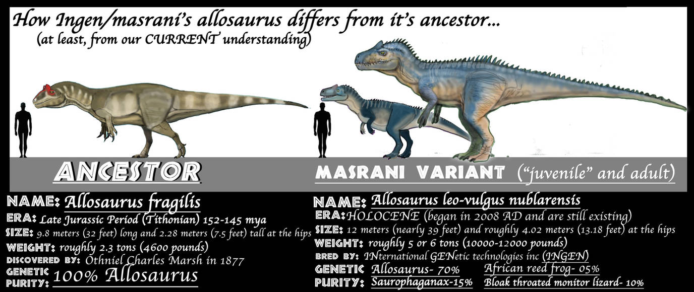 ASSETS MEET ANCESTORS ALLOSAURUS (updated) by Taliesaurus on DeviantArt ASSETS MEET ANCESTORS ALLOSAURUS (updated) by Taliesaurus on DeviantArt
