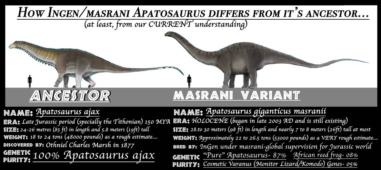 ASSETS MEET ANCESTORS APATOSAURUS (updated) by Taliesaurus on DeviantArt ASSETS MEET ANCESTORS APATOSAURUS (updated) by Taliesaurus on DeviantArt
