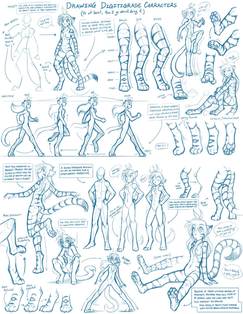 Tkturials Digitigrade Legs Guide By Twokinds On Deviantart
