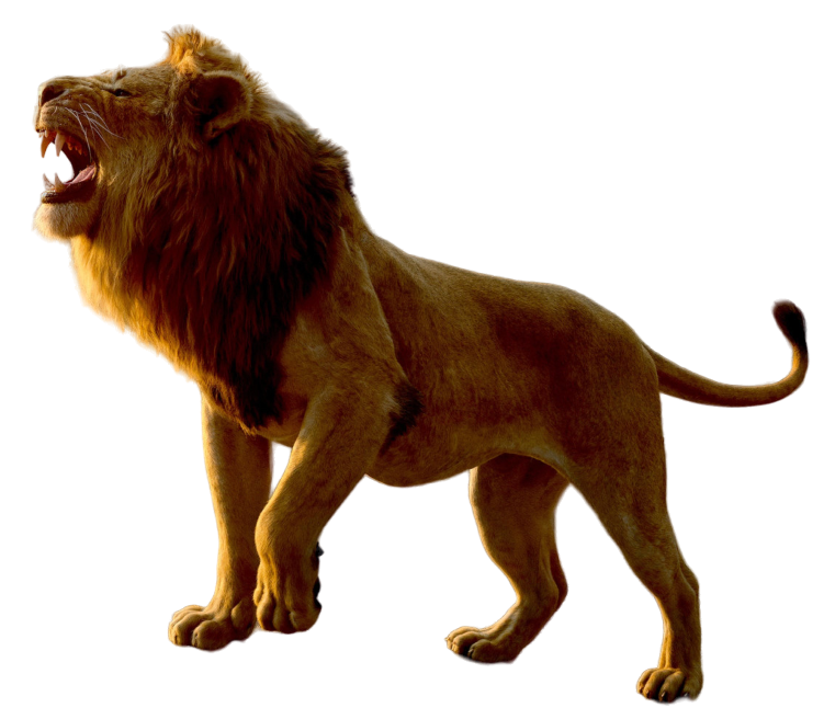 Png Simba El Rey Leon Live Action By Mikemoon1990 On Deviantart