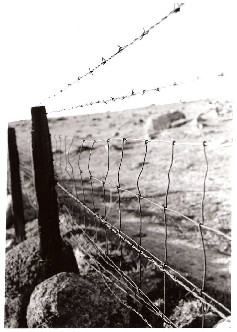 a sharp fence by mireya33 on DeviantArt
