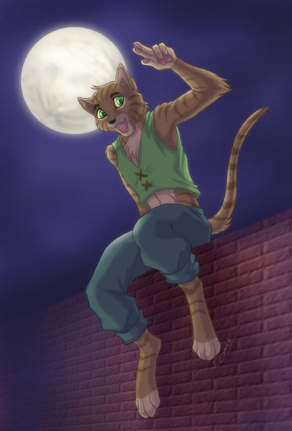 Cat anthro by J-C on DeviantArt