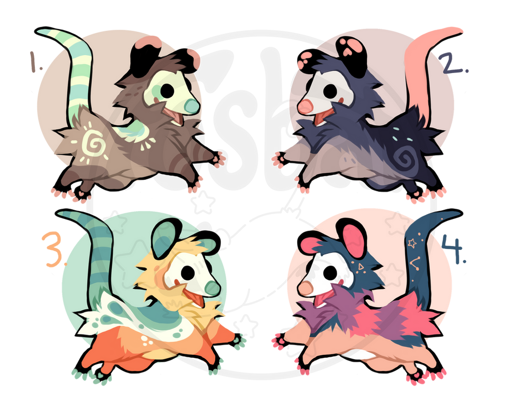 Opossum Adopts Closed By Fosbat On Deviantart