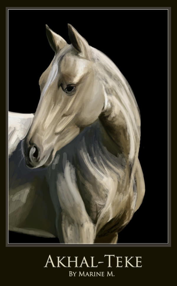 Portrait-Akhal Teke by QueenOfGoldfishes on DeviantArt