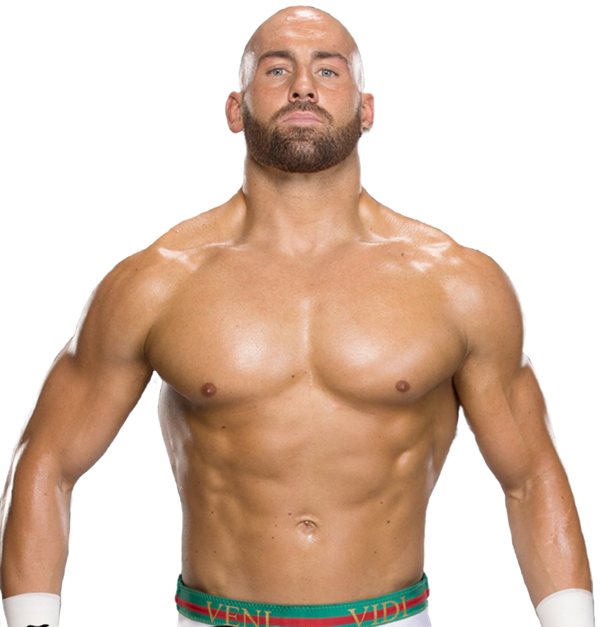 Giovanni Vinci WWE Render PNG By Wwewomendaily On DeviantArt giovanni-vinci-wwe-render-png-by-wwewomendaily-on-deviantart