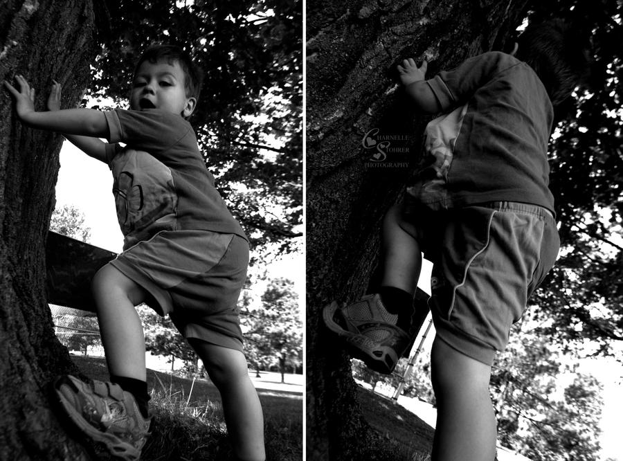 Climbing Trees By Witchthrone On Deviantart