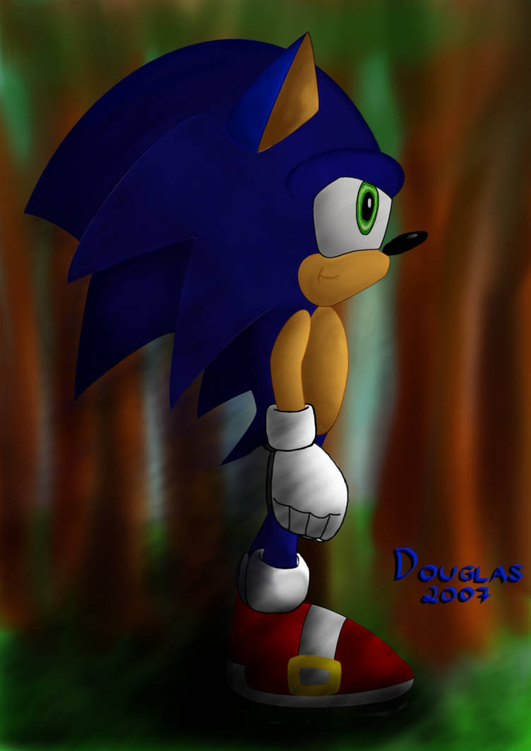 Sonic in the Forest by shadowglas on DeviantArt