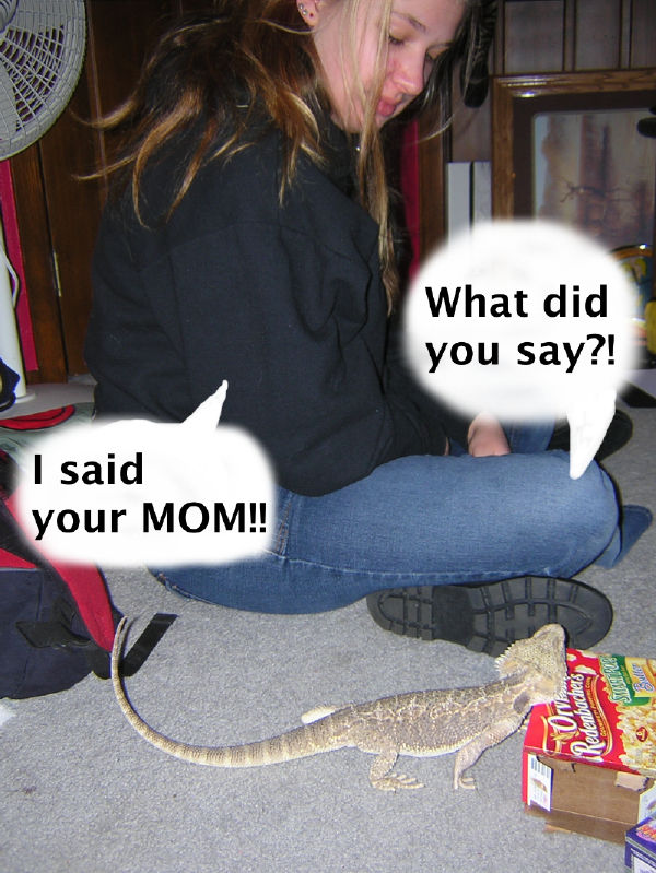 Argument With A Dragon By I Grab Butts On Deviantart