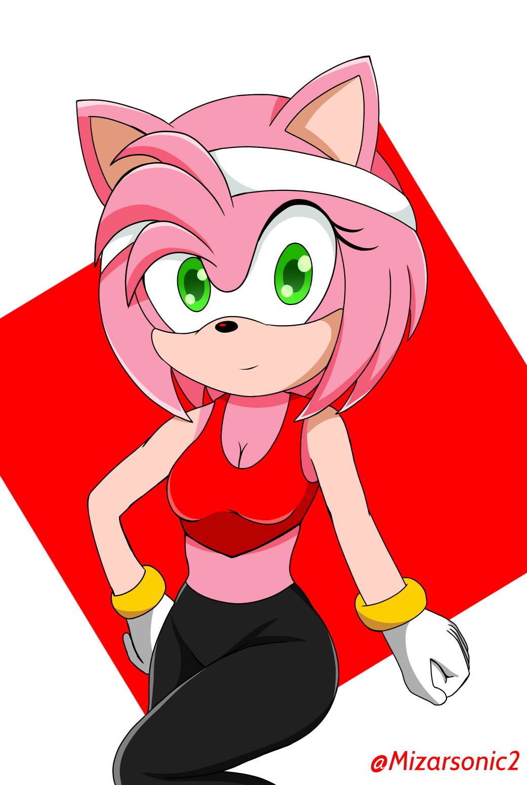 Amy Rose By Mizardue04 On Deviantart