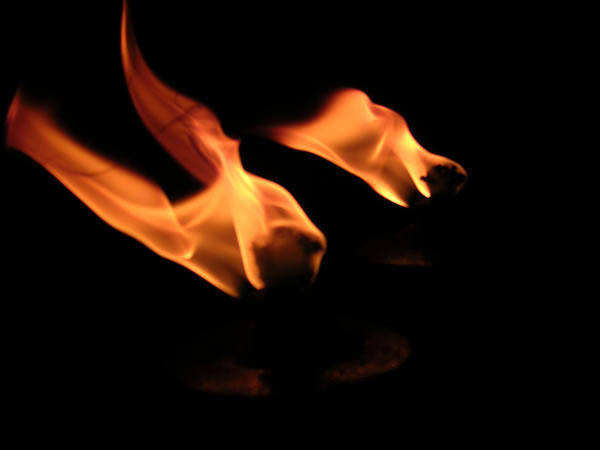 Tamed Fire by lafeevert on DeviantArt