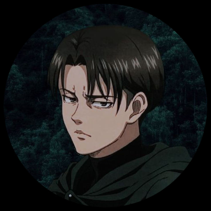 Levi Ackerman Pfp By Harvester0fs0uls On Deviantart