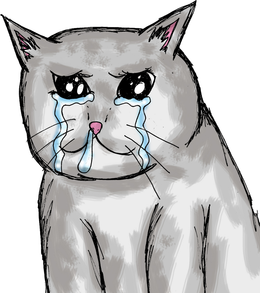 Crying Cat Meme By Gordonjugah On Deviantart