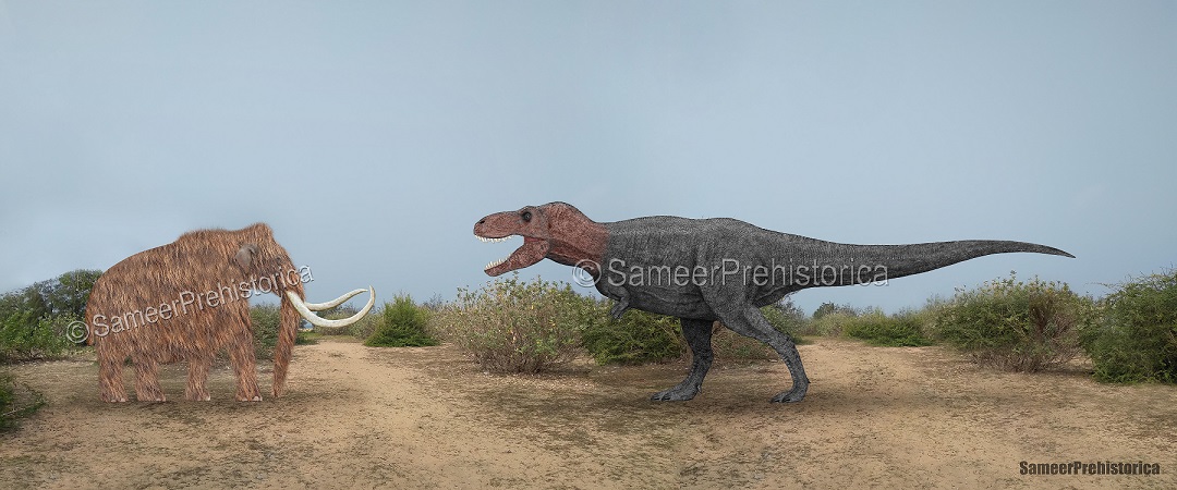 Woolly Mammoth vs Tyrannosaurus Rex by SameerPrehistorica on DeviantArt Woolly Mammoth vs Tyrannosaurus Rex by SameerPrehistorica on DeviantArt