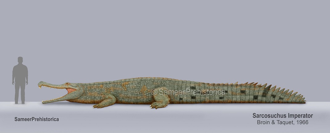 Sarcosuchus Size Comparison