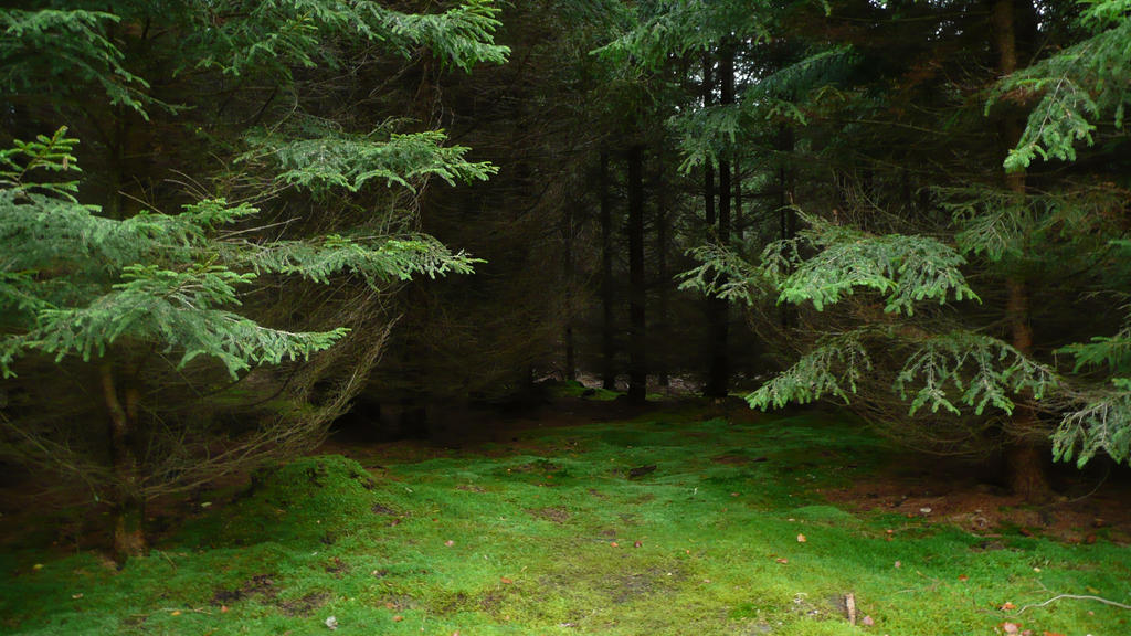 Into The Scary Woods O By Aqill On DeviantArt into-the-scary-woods-o-by-aqill-on-deviantart