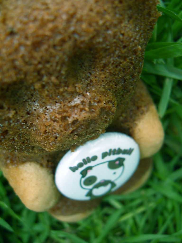 Hello Pitbull by panna-nikt on DeviantArt