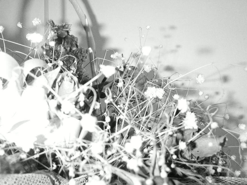 dead blooms by shuzwei on DeviantArt