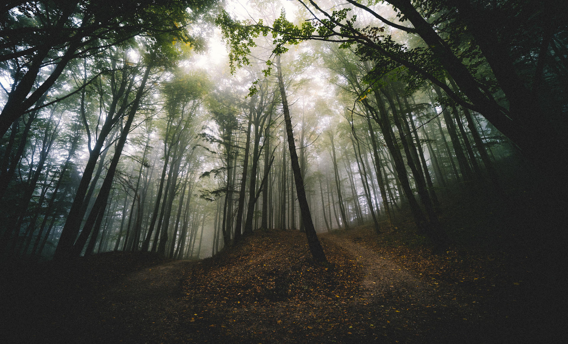 Coming Home By Hannes flo On DeviantArt coming-home-by-hannes-flo-on-deviantart
