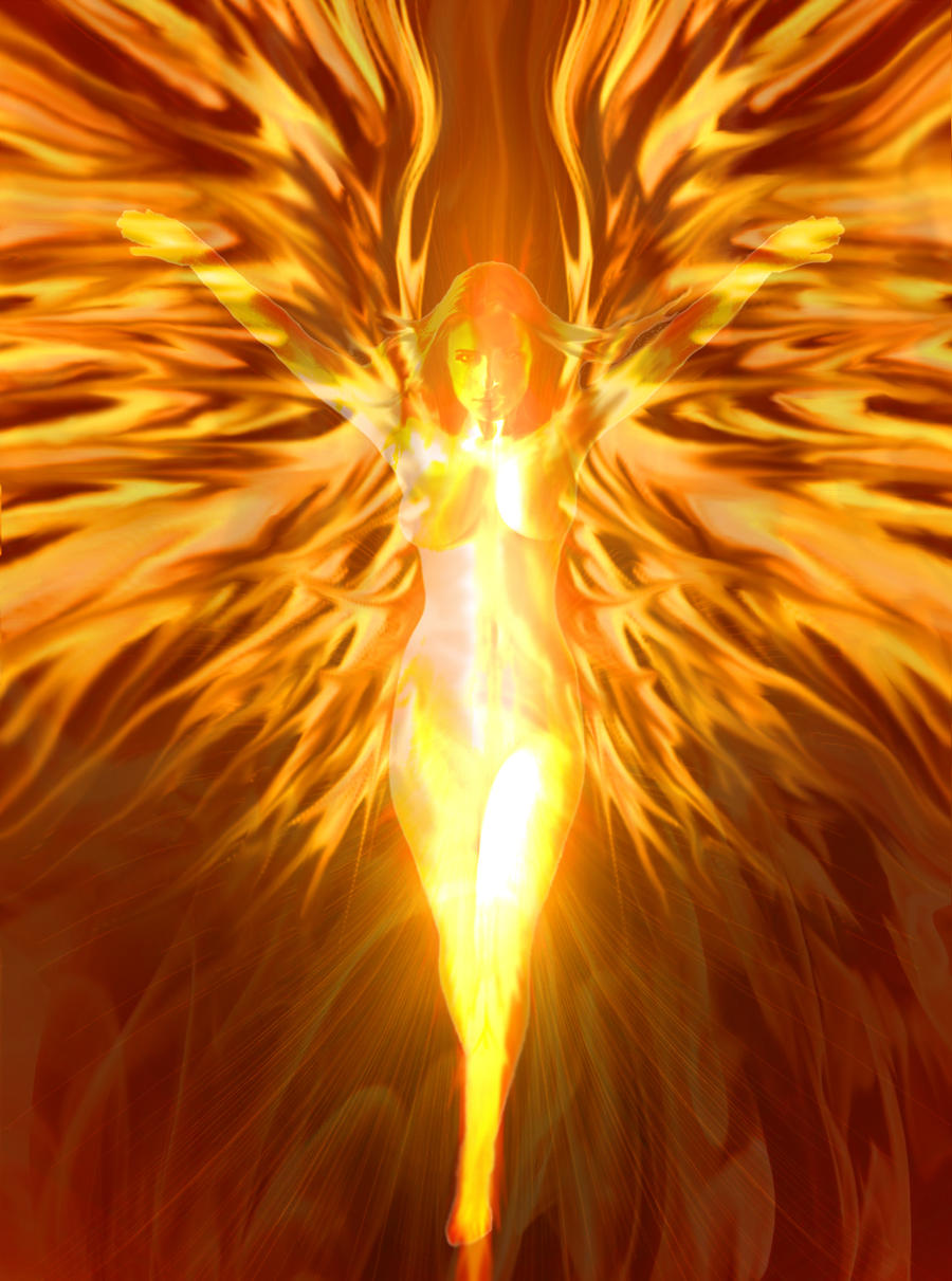 Pheonix By Lokolobo88 On Deviantart