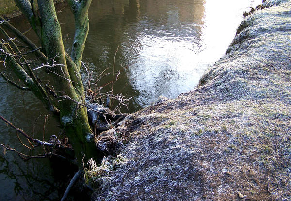 Cod Beck by cbundock on DeviantArt