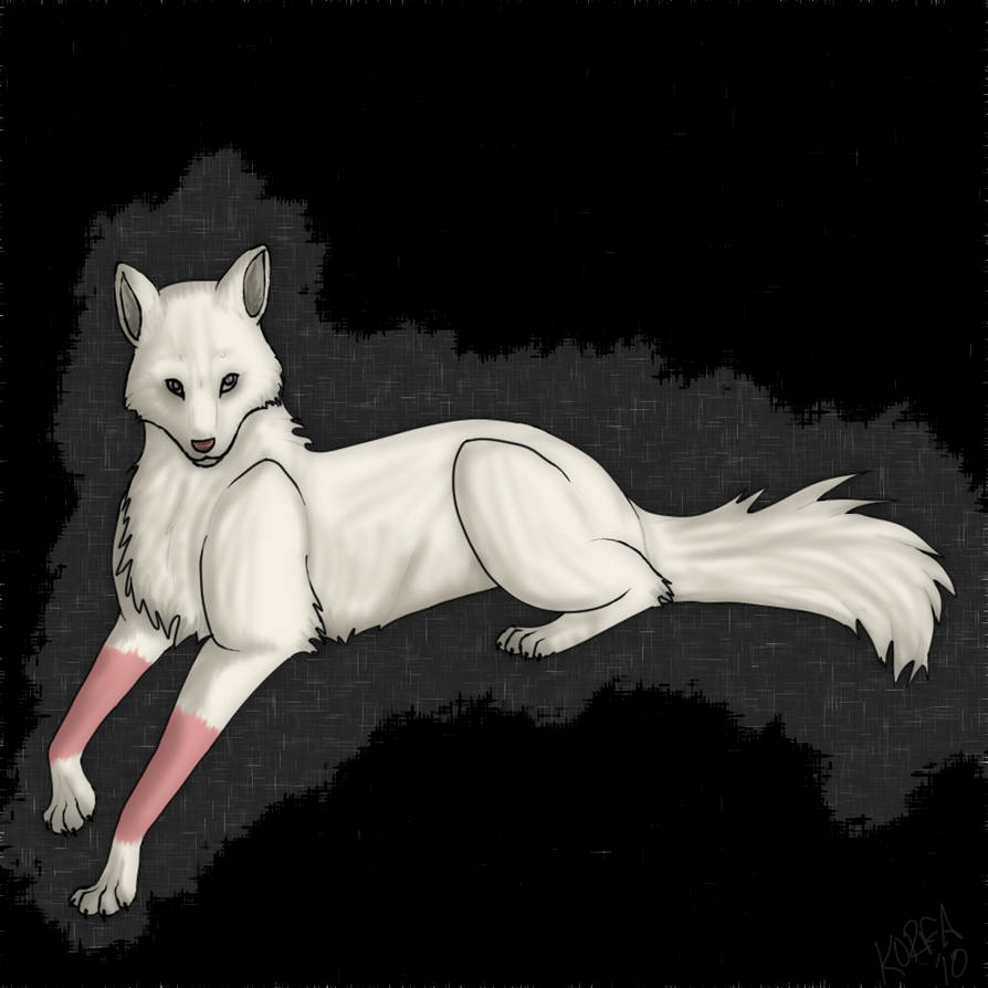 Lotus By Korfa On Deviantart