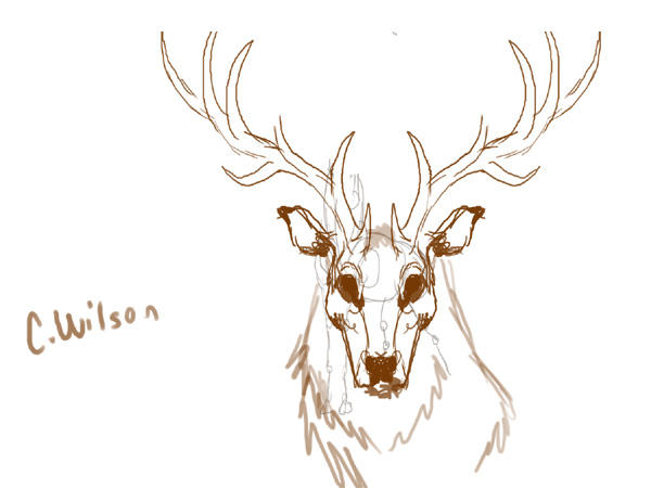 Red stag sketch by WindSeeker on DeviantArt