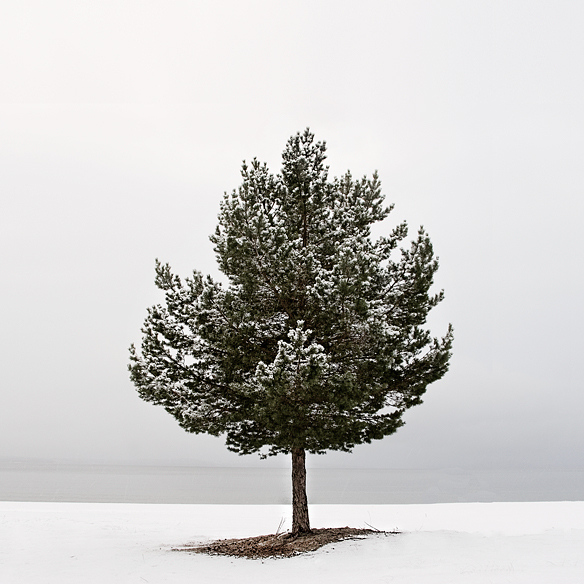 Lonestar 2 by Christoopher on DeviantArt