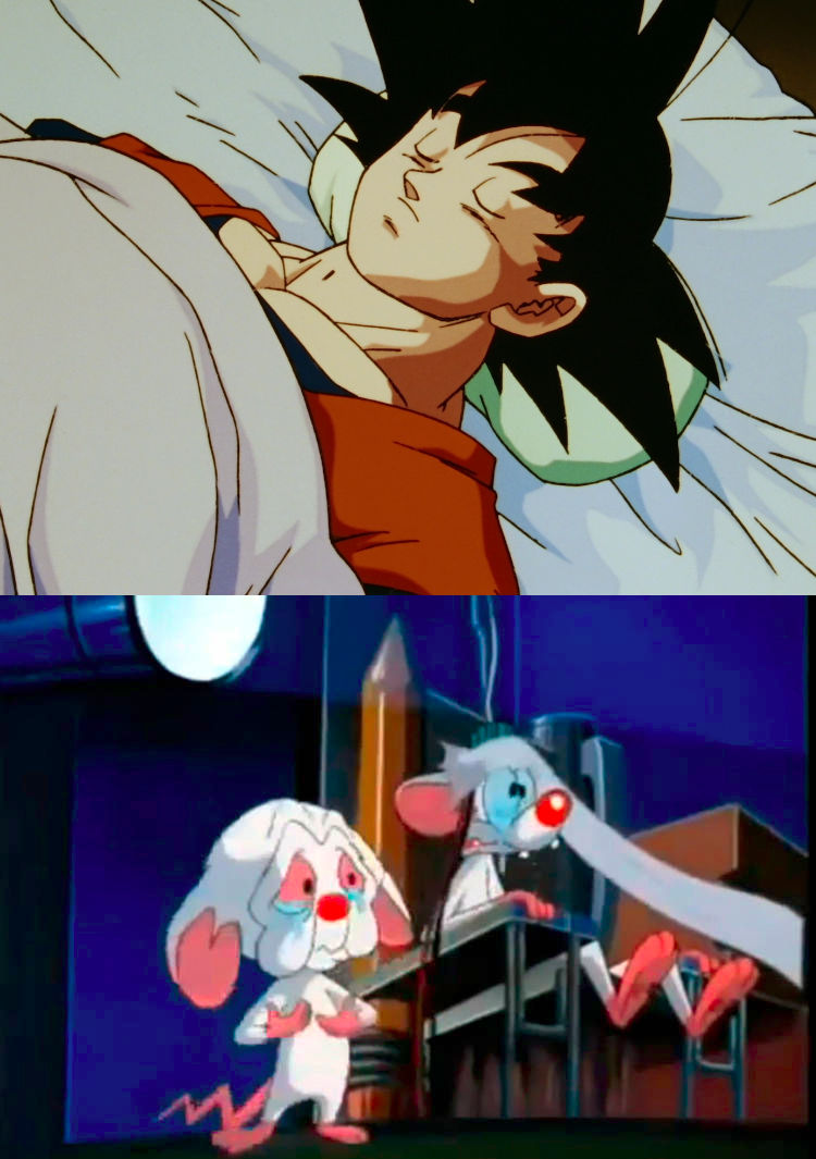 Pinky And The Brain Crying Over Future Goku Dies By Mortadeloramon287 On Deviantart