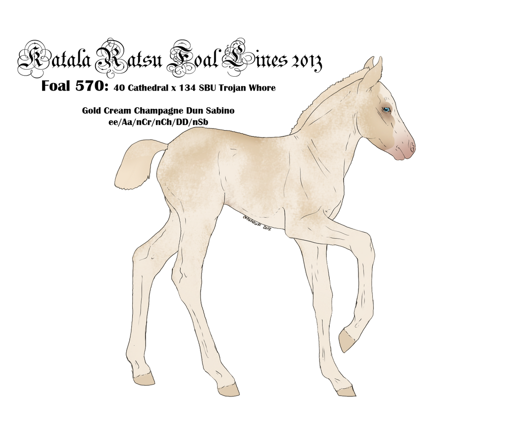 Foal Designs On CS RatsuCenter DeviantArt foal-designs-on-cs-ratsucenter-deviantart